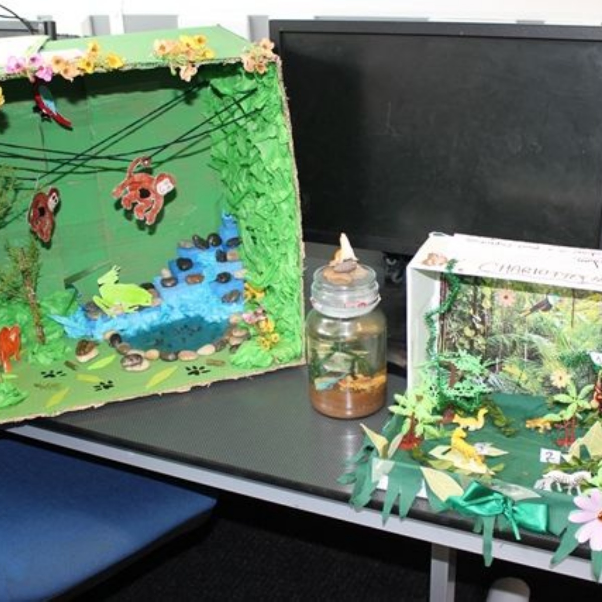 The Sutton Academy - Science Showcase