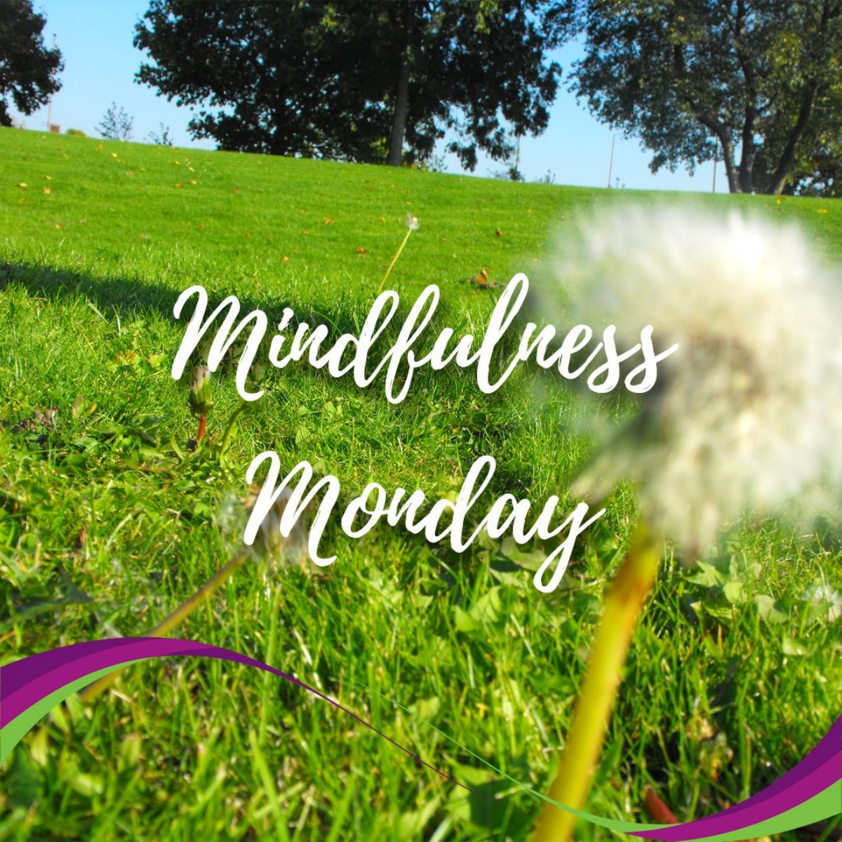 The Sutton Academy - Mindfulness Monday