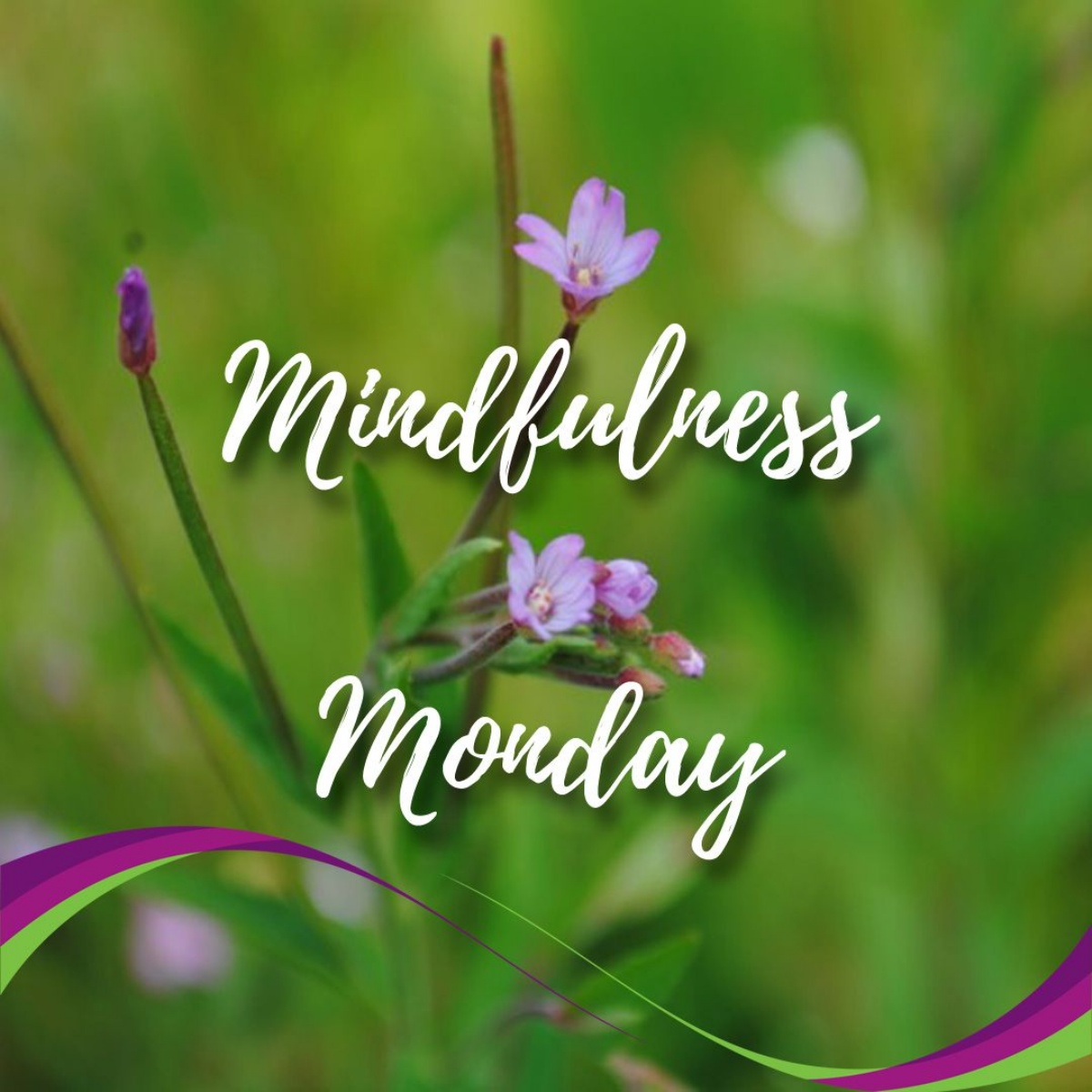 The Sutton Academy - Mindfulness Monday