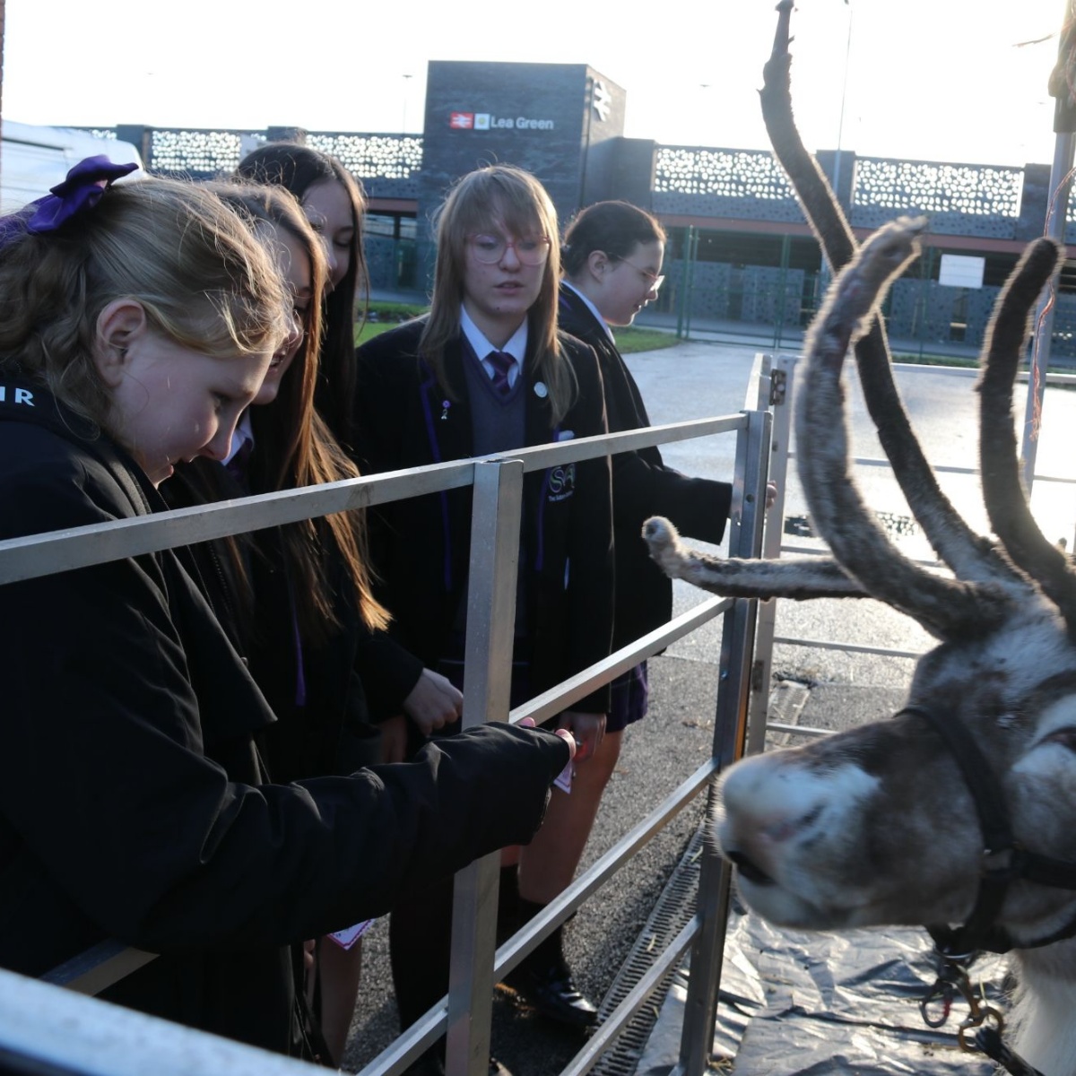 The Sutton Academy - A Magical Day with Reindeers at the Academy